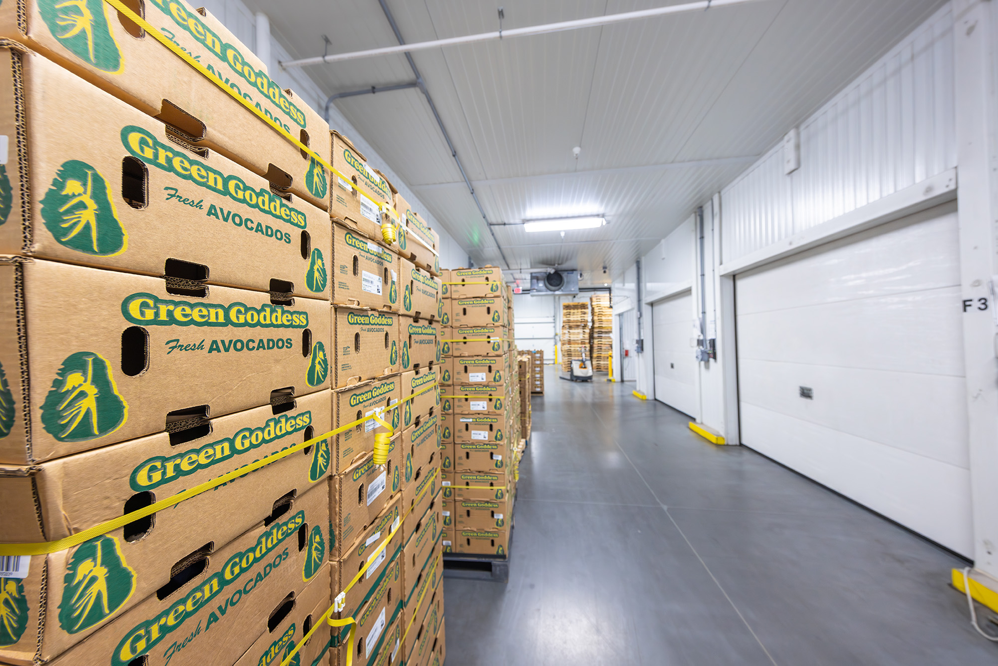 Henry Avocado Cold Storage Distribution Facility - A M King